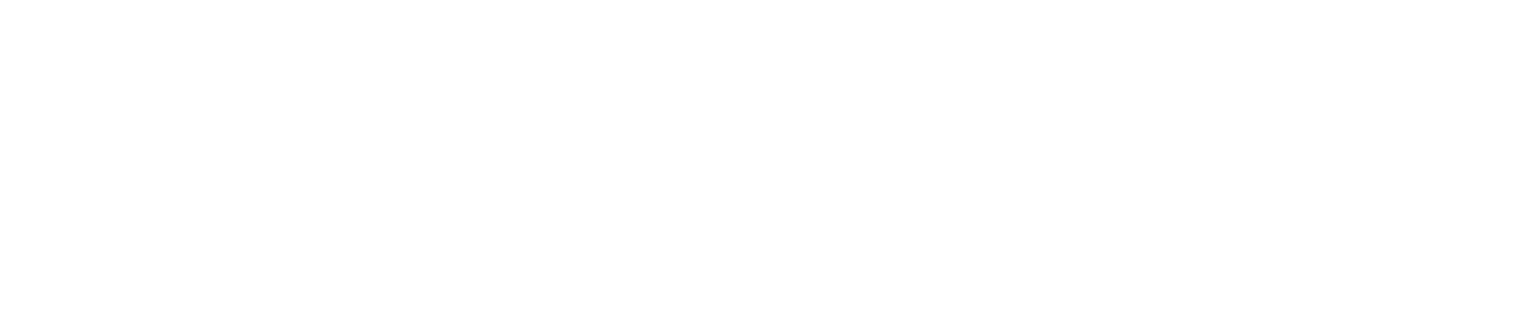 MIS Global Conference | Palma De Mallorca, 2024