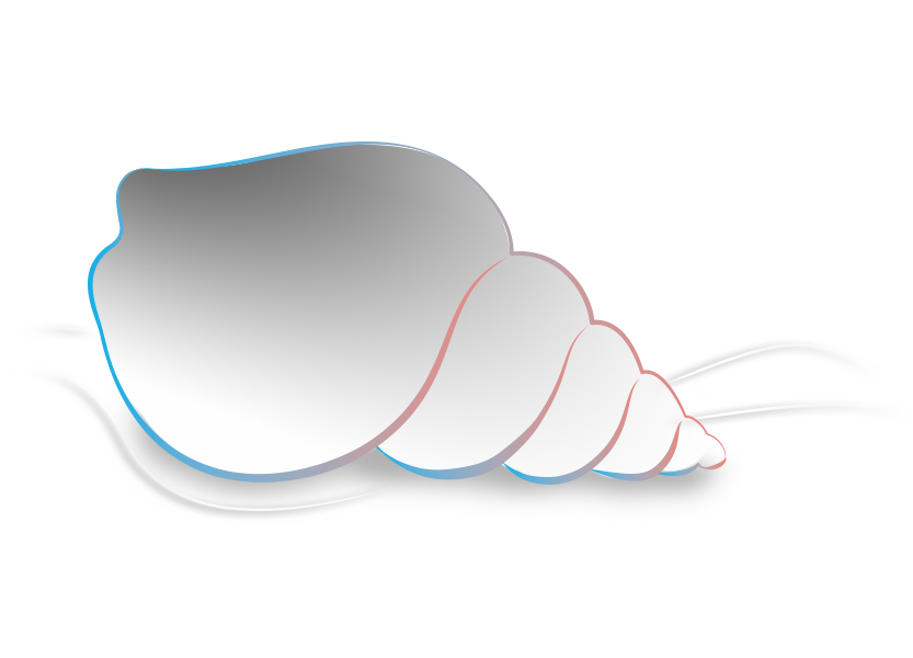 MIS Global Conference | Palma De Mallorca, 2024